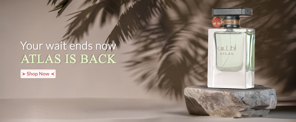 Promotion & Updates | Lattafa India